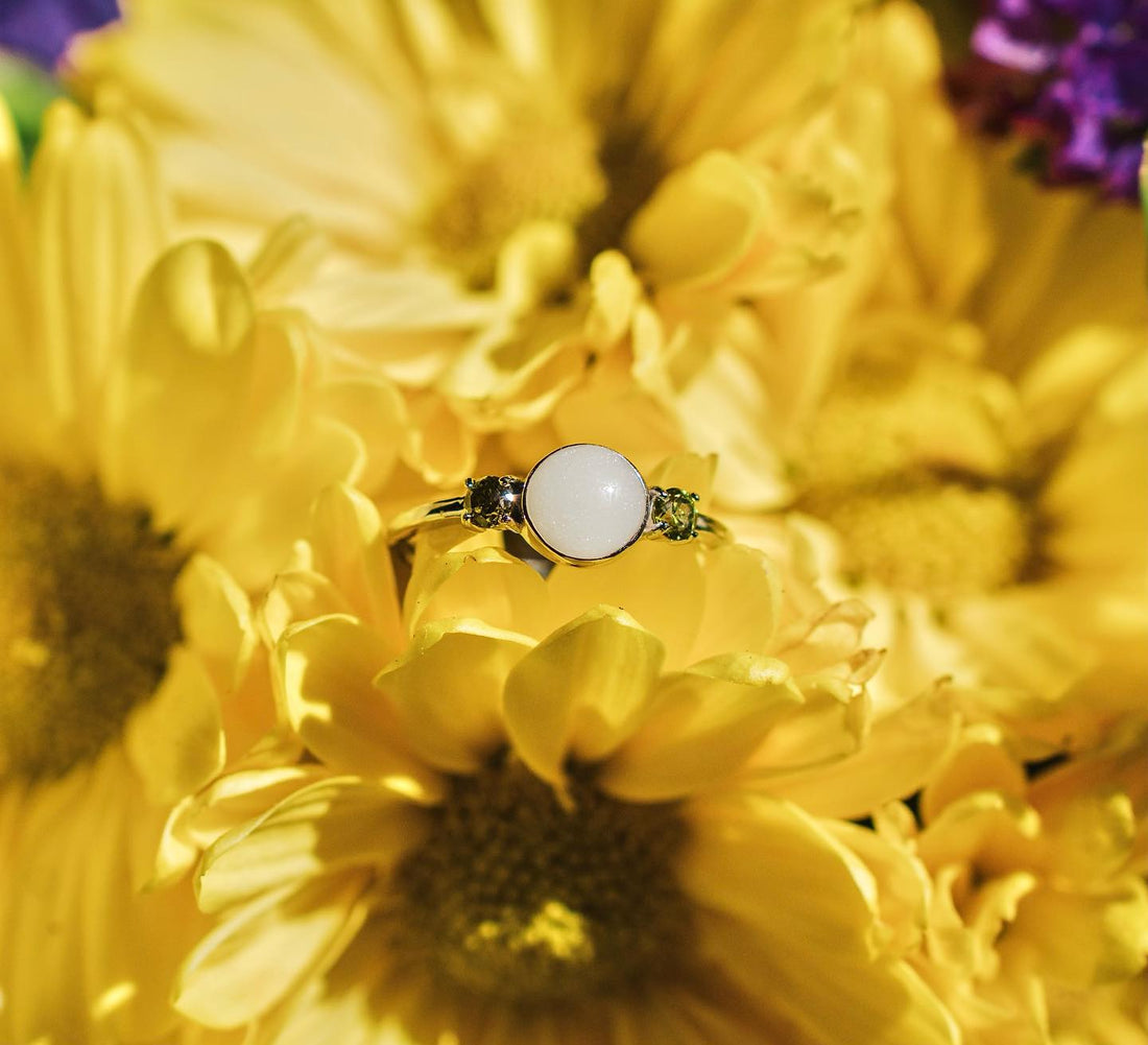 Lucy Ring – Remember with Roberts